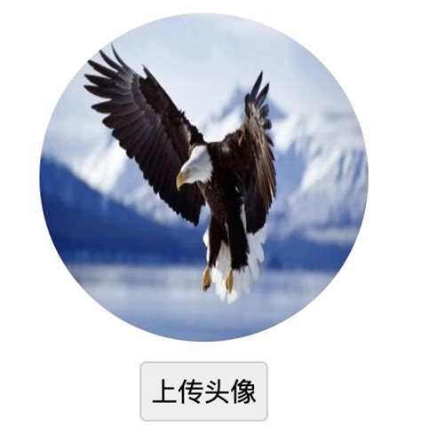 30、js 上传头像js上传头像 Csdn博客