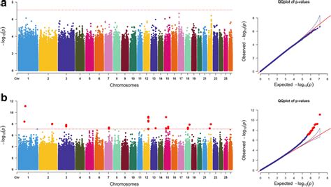 Manhattan Plots And Quantile Quantile Qq Plots Of Both The A Ss And B Download Scientific