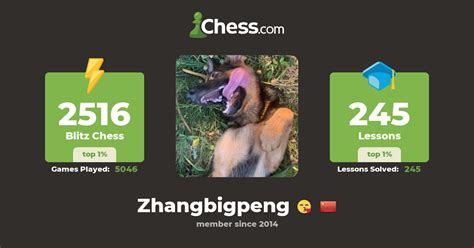 Fm Xiaopeng Zhang Zhangbigpeng Chess Profile