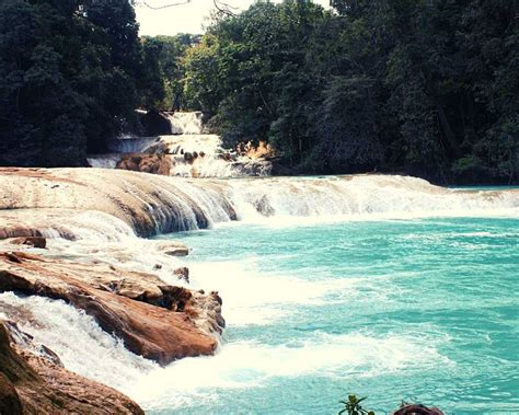 Tour Selva Lacandona 3 Días Ruta21mx