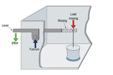 Lever System Mammoth Memory Definition Remember Meaning