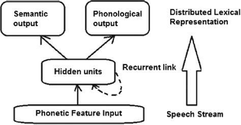 11 The Connectionist Distributed Cohort Model Of Gaskell And