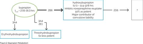 What Is The Difference Between Traditional “single Gene” Testing And The Genesight Tests