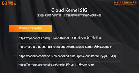 鱼和熊掌可得兼：anolis Os双内核特性解读 龙蜥专场（二） Openanolis龙蜥操作系统开源社区