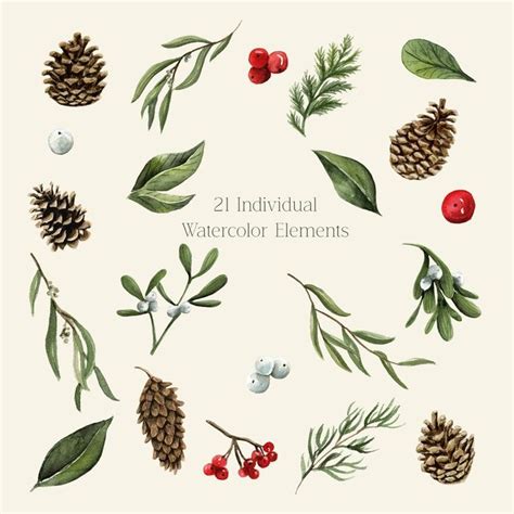 Holiday Greenery Clip Art Urlaub Grafiken Winter Blätter Pngs