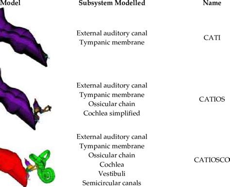 combinations of different finite elements simulated in the cati