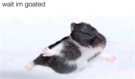 Create A Evil Gang Tier List Tiermaker