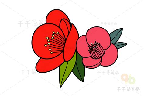 怎么画海棠花 简单 第6页 大山谷图库