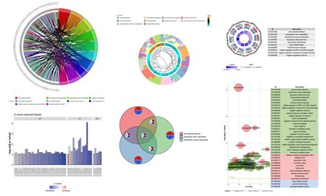 【生信分析笔记】四：go富集分析的进阶可视化 知乎