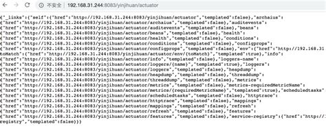 Spring Boot Admin2x监控的服务context Path问题 小小冒险家的博客
