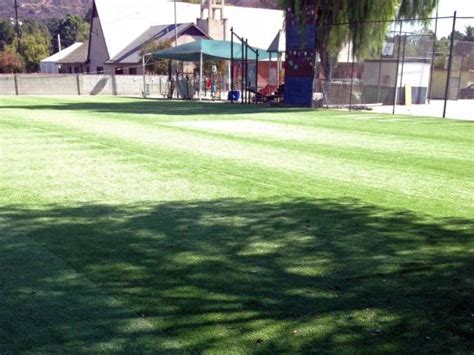 Artificial Grass Ocala Florida Landscaping Backyard Makeover