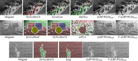 Figure 5 From Unsupervised Dynamic Texture Segmentation Using Local