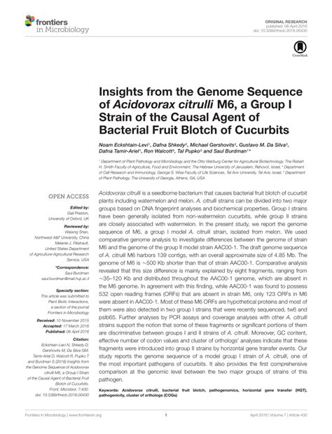 Pdf Insights From The Genome Sequence Of Acidovorax Citrulli M6 A Group I Strain Of The