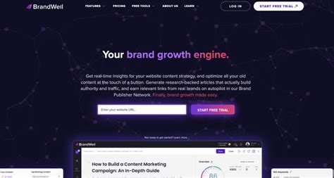 Ninh Tran On Linkedin Homepage