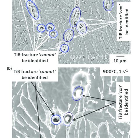 Colour Online Sem Micrographs Bse Mode Showing Cavitation And