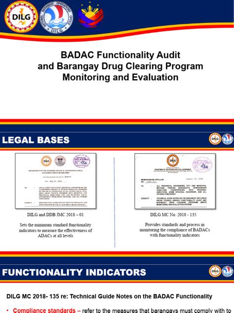 Badac Audit Pdf Business