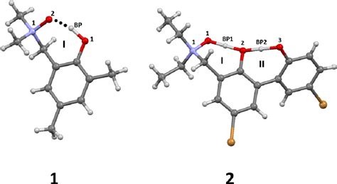 Figure 1 From Exploring Intra And Intermolecular Interactions In