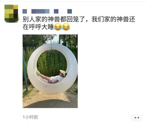 神兽归笼！家长的快乐，就是这么朴实无华！澎湃号·政务澎湃新闻 The Paper