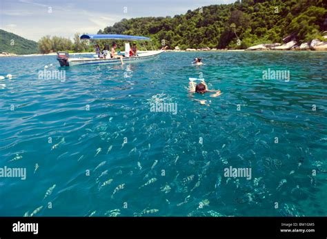 Snorkeling Trip Perhentian Islands Terengganu State Malaysia