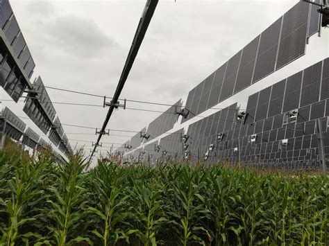 Un système dirrigation intégré une première en agrivoltaïsme