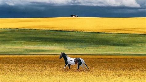 【python知识】python项目打包和安装 Csdn博客