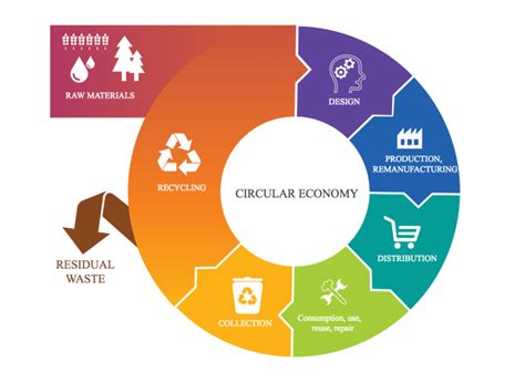 Explained The Circular Economy