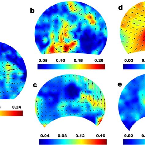 Velocity Contours And Vector Plots For Internal Circulation In Droplets