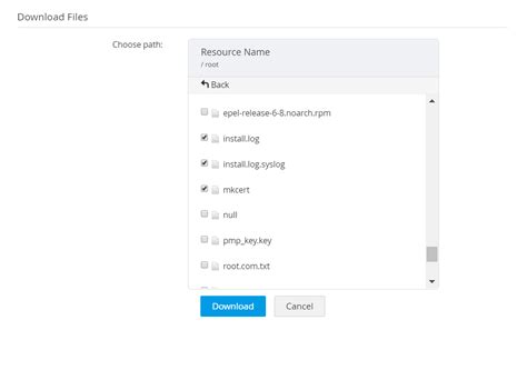 Handling Files In Access Manager Plus