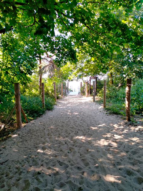 Profandcare Tomasz Stochaj Added Profandcare Tomasz Stochaj