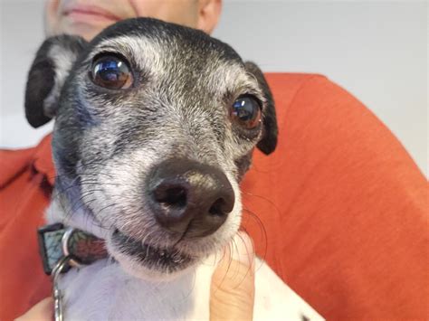 Pki For Network Engineers 11 Cisco Ios Ca Basic Configuration