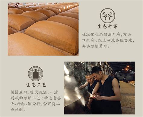 舍得 舍之道 浓香型白酒 50度 500ml6瓶 1108元年货价天猫家居生活 一分网