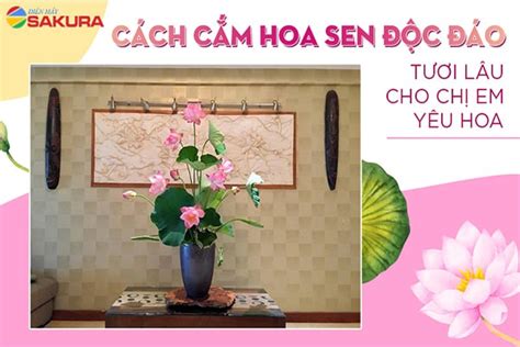 Bật Mí Cách Cắm Hoa Sen độc đáo Tươi Lâu Dienmaysakuravn