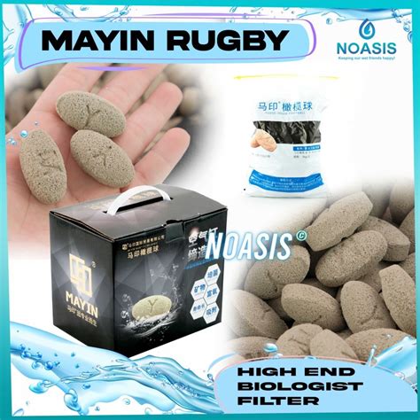 mayin international rugby media filter biologis rumah bakteri 200 gram