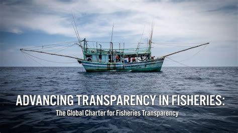 How To End Illegal Fishing And Protect Ocean Environmental Justice