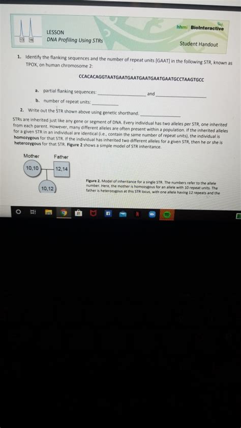 Solved Hhmi Biointeractive LESSON DNA Profiling Using STRS Babe Answer Transtutors
