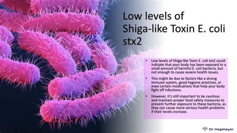 Shiga Toxin Producing E Coli Stec Infections Lab Tests Explained