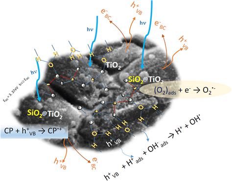 Speciation And Chemical States On The Surface Of Sio2 Microfibers Download Scientific Diagram
