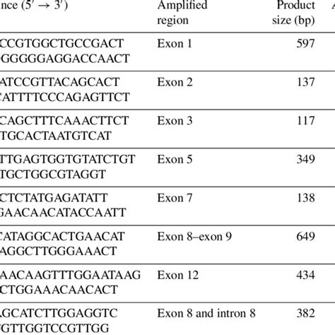 Primer Sequence Amplified Region Fragment Size And Annealing
