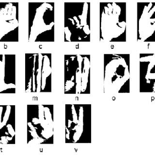 Static LIBRAS Database Examples Download Scientific Diagram