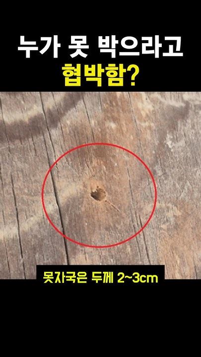 문화재에 또 못 박은 방송국 Youtube