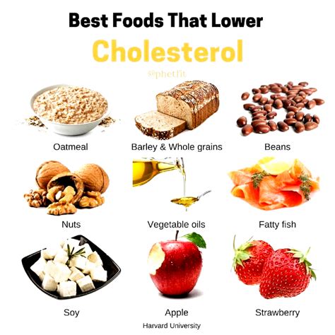 Vegetarian Cholesterol Lowering Recipes 40 Best Foods That Help Lower