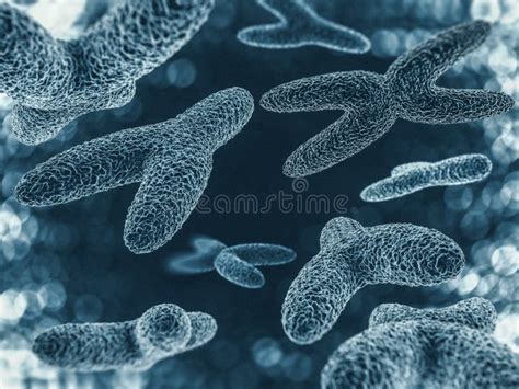 Gene Mutation Models Comparison With Abnormal Helix Protein Outline
