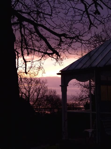Thursday Photo Prompt Tryst Writephoto Willowdot21