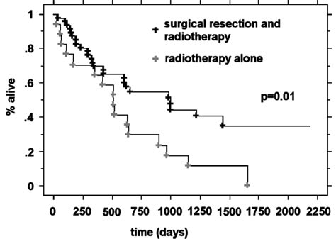 Kaplan Meier Curves For The Overall Survival Time For Rpa Class I Download Scientific Diagram Kaplan Meier Curves For The Overall Survival Time For Rpa Class I Download Scientific Diagram