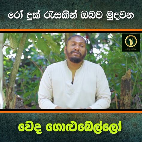 පාවට්ටා ගැන අහන්නම ඕන කතාවක් By හෙළ අරණ Hela Arana Facebook