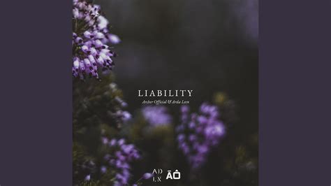 Liability Youtube