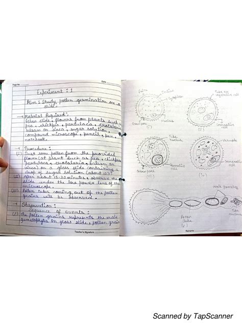 Bio Lab Manual Pdf