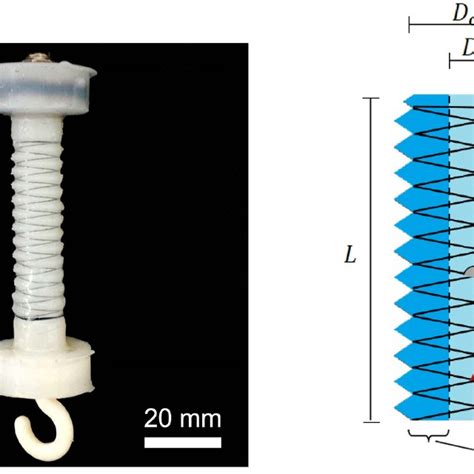 A Physical Prototype Left Of The Proposed Soft Linear Actuator