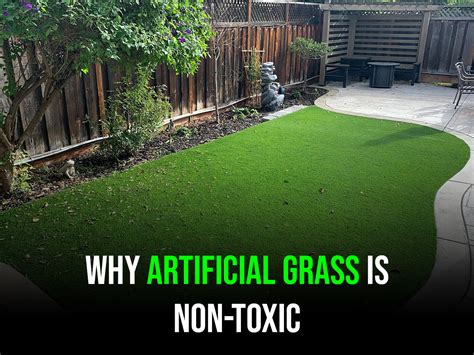 Why Artificial Grass In Phoenix Is Non Toxic