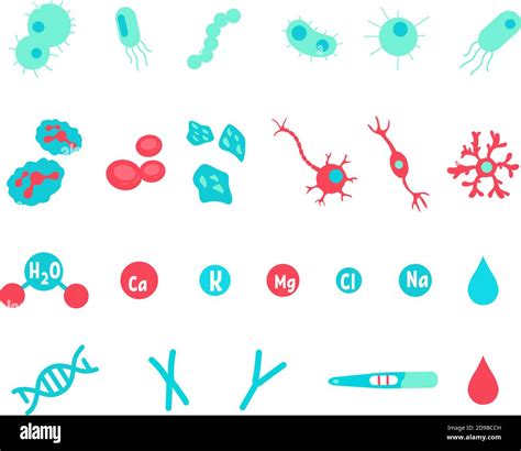 Microbiology Flat Color Vector Objects Set Stock Vector Image Art Alamy